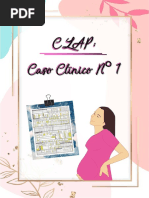 Parto Precipitado | PDF | Salud maternal | Parto