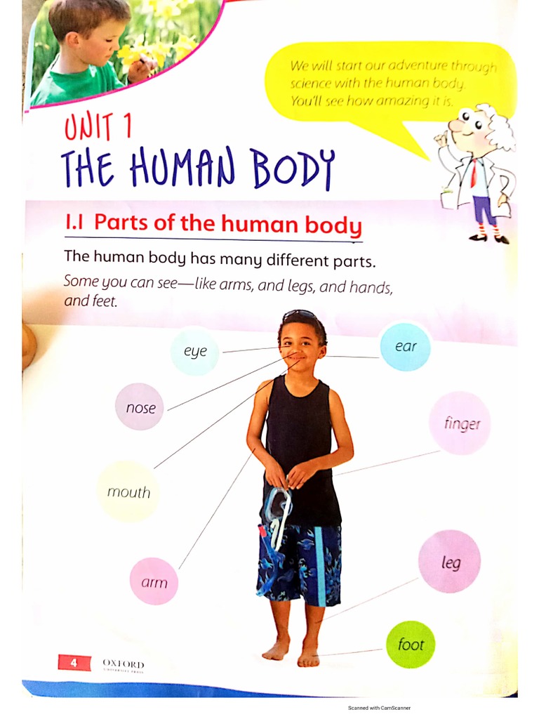 Class 1 Science | PDF