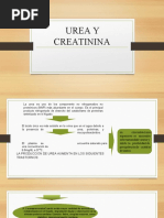 Inserto Spinreact Creatinina | PDF | Creatinina | Química