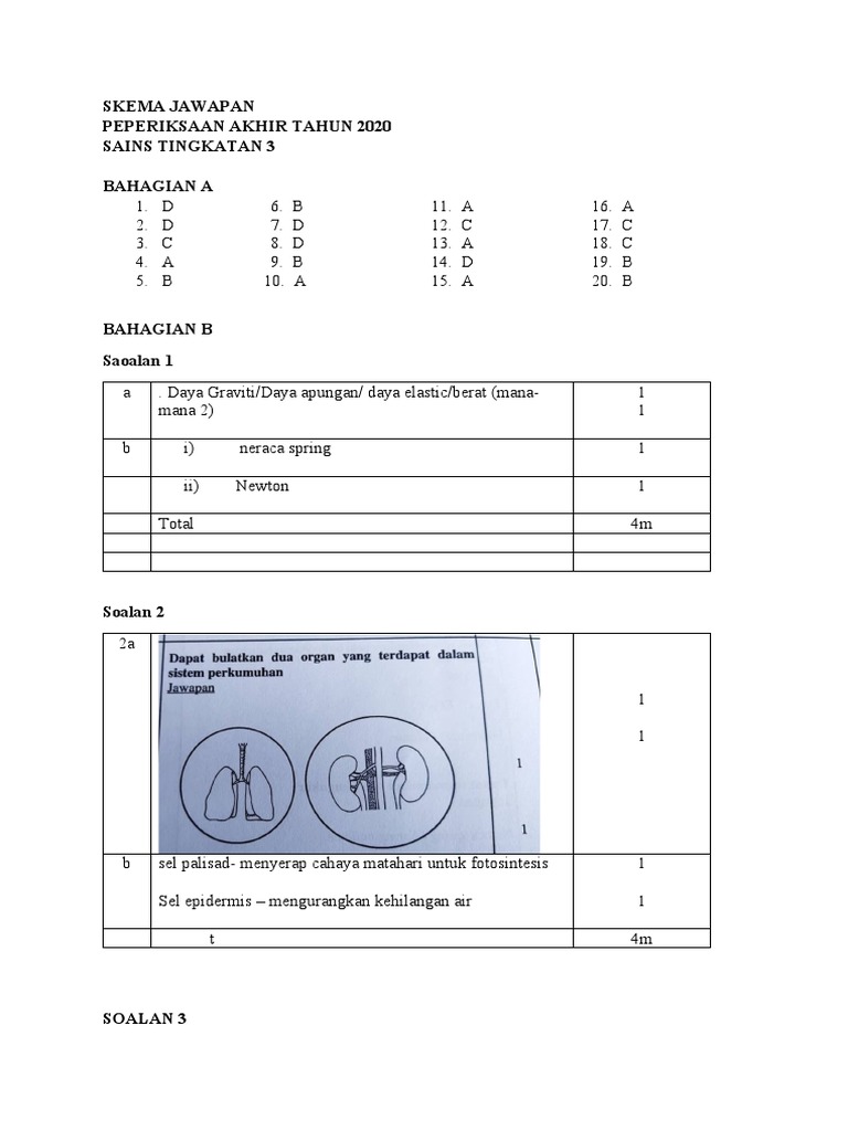 SKEMA JAWAPAN SAINS FORM 3 Pat | PDF