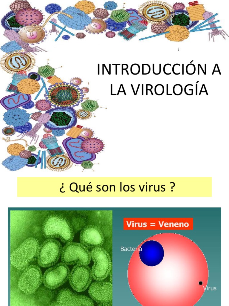 Introducción a la Virología y Virus | PDF | Virus | Rna