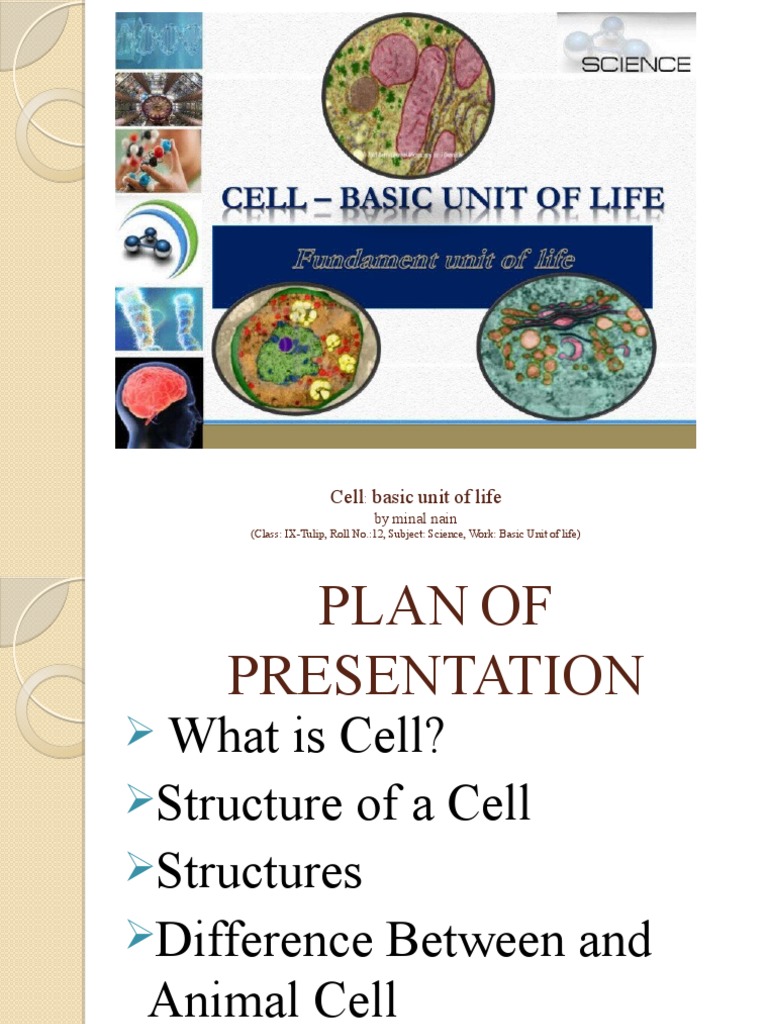 Cell: The Basic Unit of Life | PDF | Cell (Biology) | Cytoplasm