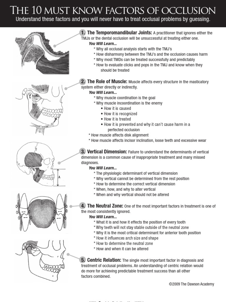 10 Must Know Factors of Occlusion | PDF | Human Tooth | Mouth