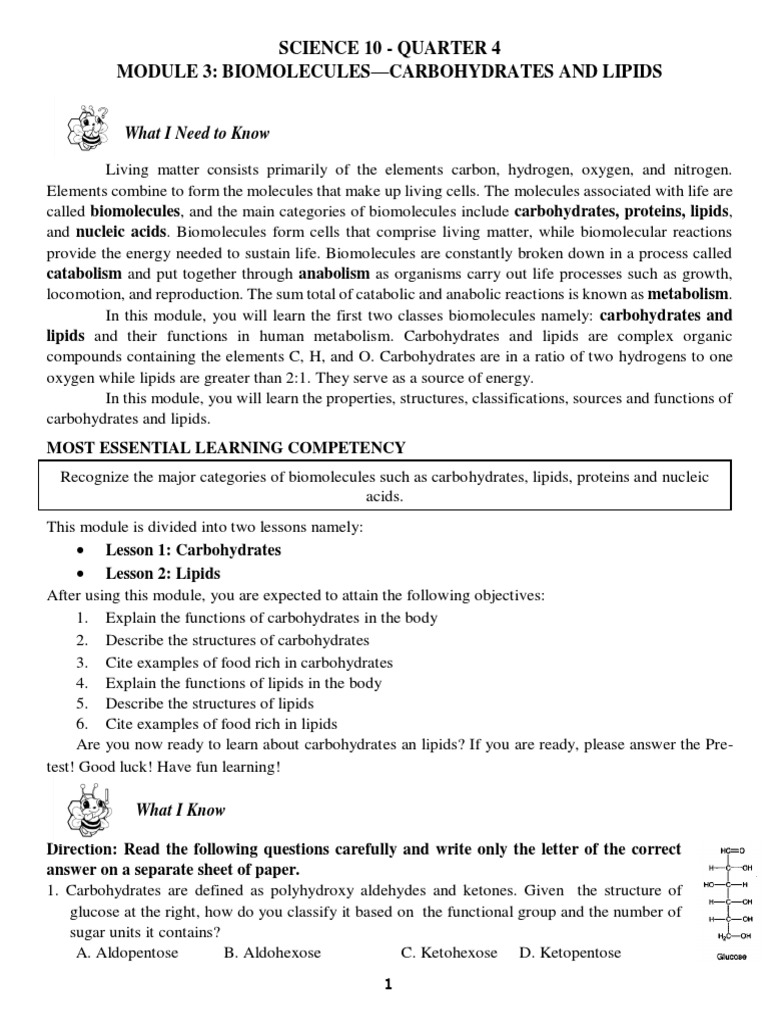 SCIENCE-10 Q4 MOD3 Biomolecules-Carbohydrates-Lipids Booklet | PDF ...