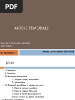 9 - Triangle de Scarpa | PDF | Jambe humaine | Anatomie