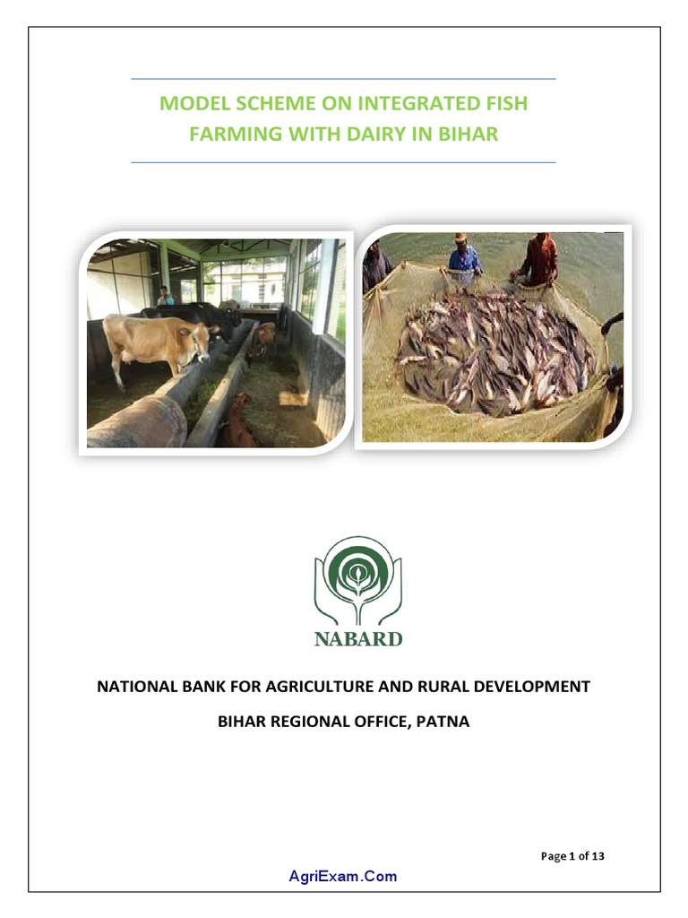 Model Scheme On Integrated Fish Farming With Dairy in Bihar | PDF ...