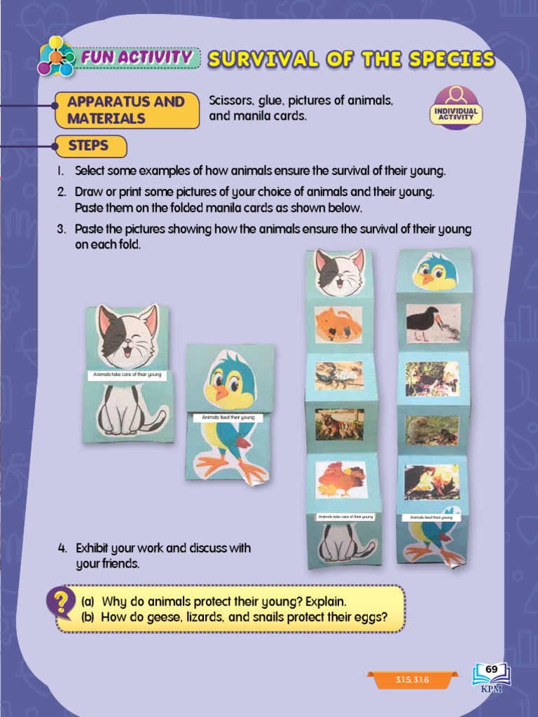 Science DLP Year 5 (Page 69 - 144) | PDF | Ecosystem | Food Web