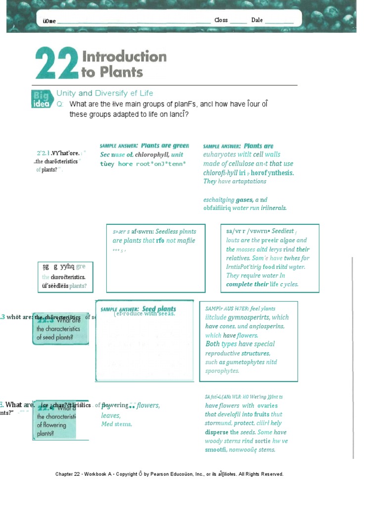 Plant Workbook Pages Answers | PDF