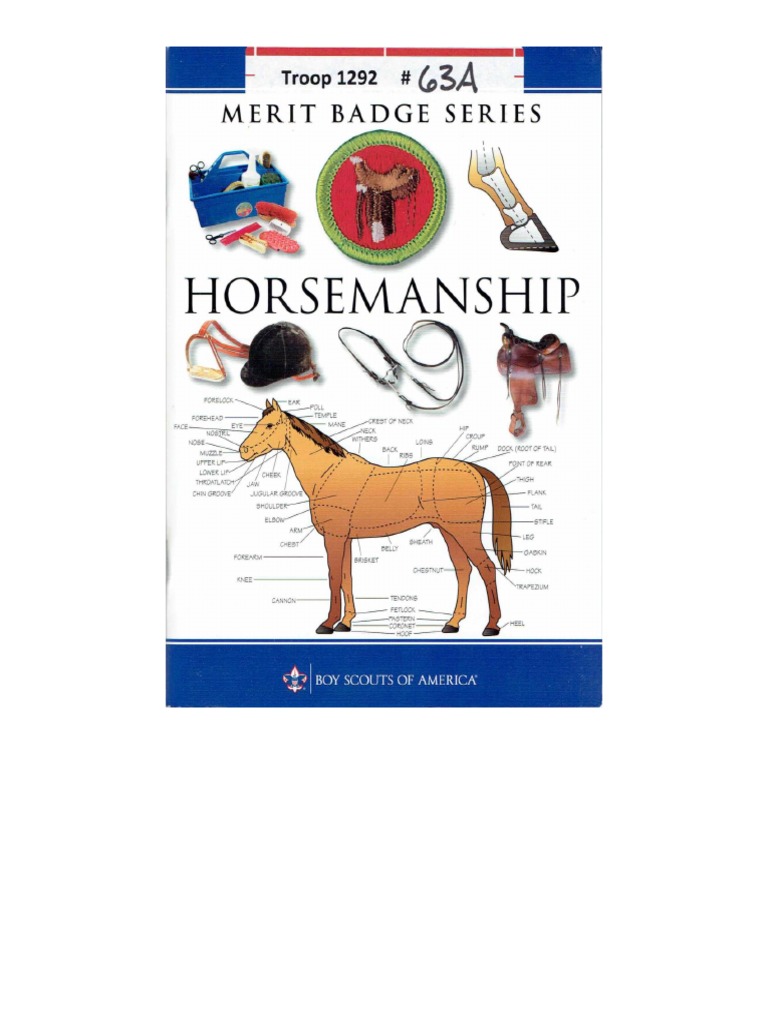 Horsemanship Merit Badge Pamphlet | PDF