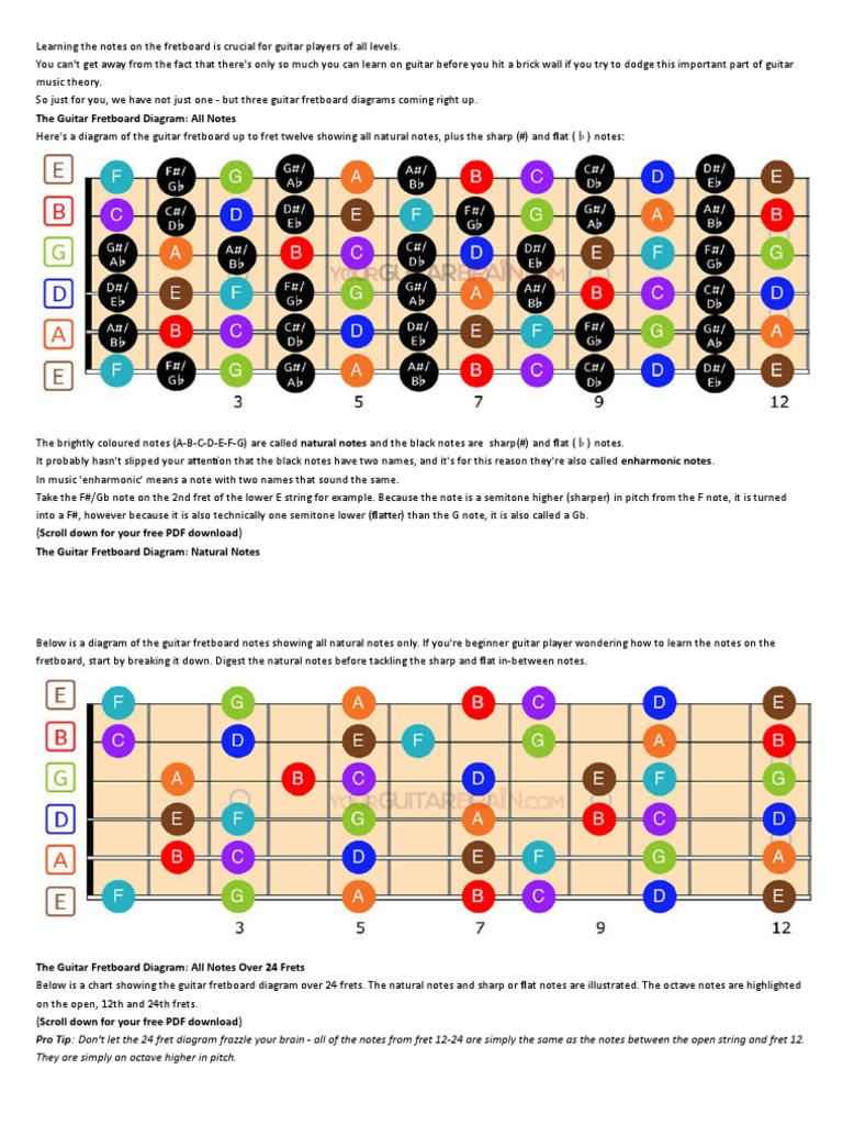 The Guitar Fretboard Diagram: All Notes | PDF | Art