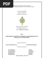 Calcul et Vérification de la Stabilité du Radier | PDF