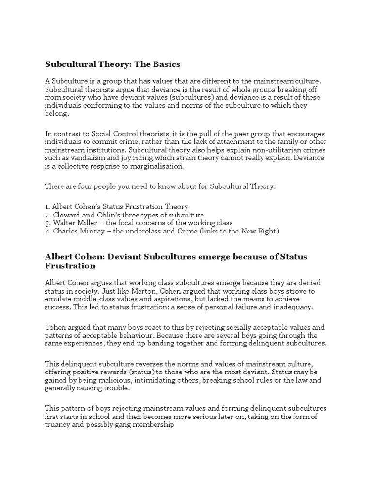 Subcultural Theory The Basics | PDF | Deviance (Sociology) | Human Nature