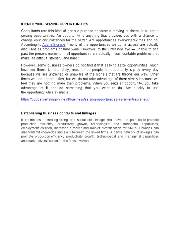 Identifying Seizing Opportunities | PDF
