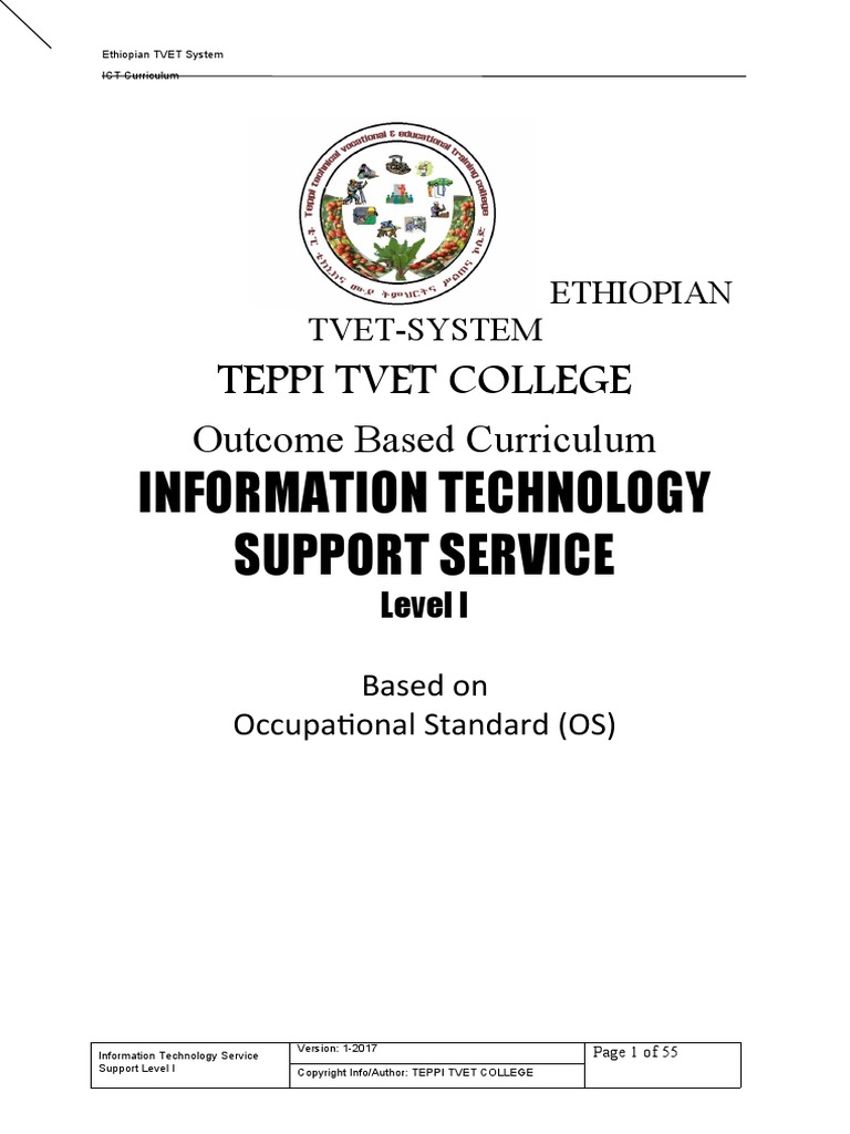 CARRCULEM FOR ITSSP Level-1 May 2017 | PDF | Icon (Computing ...