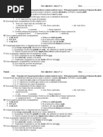 Fisa de Lucru Articol Si Substantiv | PDF