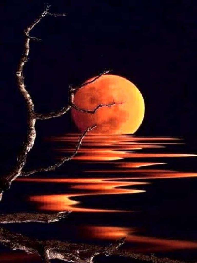 Class - XII Practical Work | PDF | Science & Mathematics | Technology & Engineering