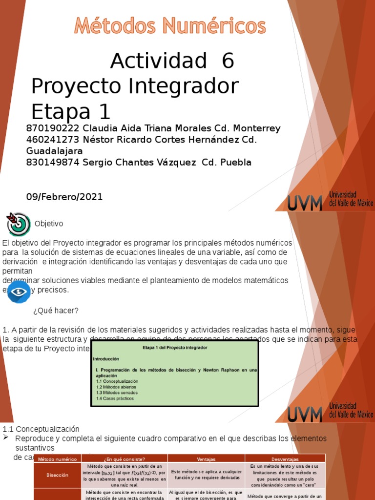 Actividad 6 Proyecto Integrador Etapa 1 | PDF | Análisis numérico | Programación de computadoras