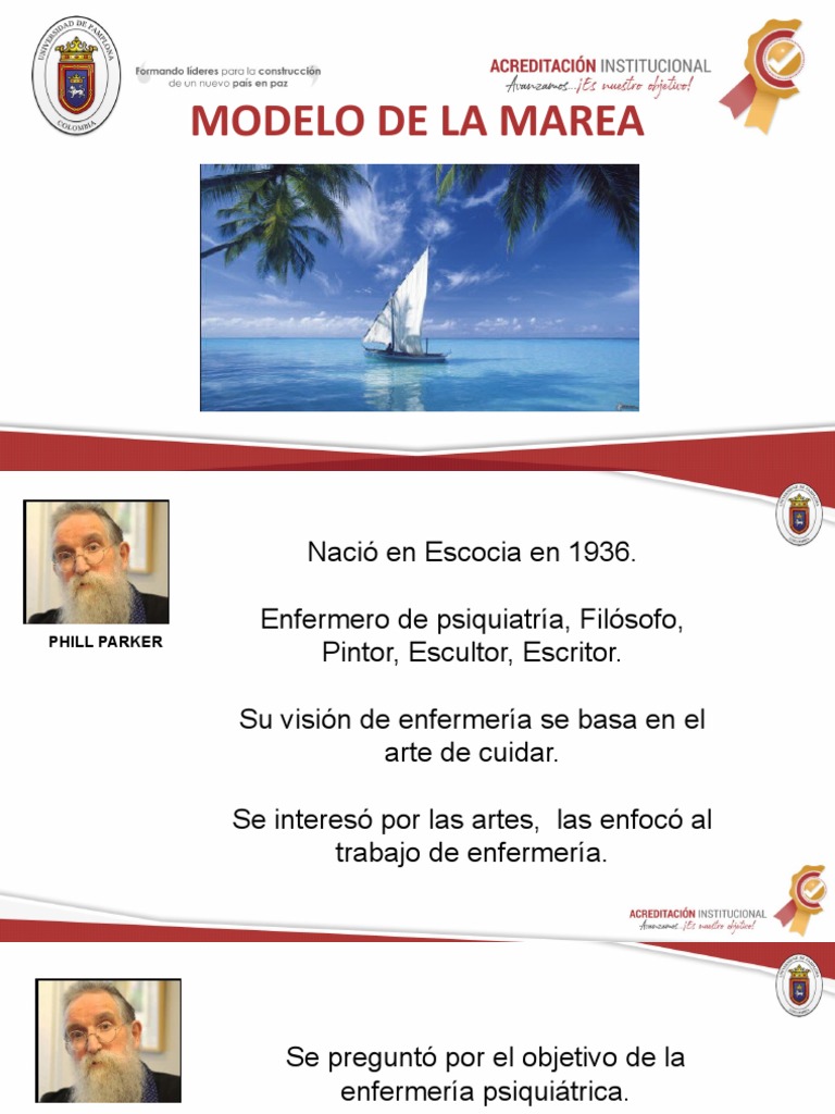Modelo de La Marea Phil Barker | PDF | Enfermería | Salud mental