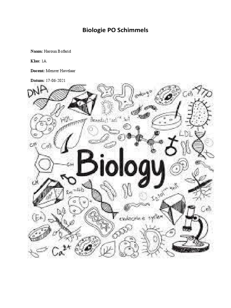 Biologie PO Schimmels | PDF