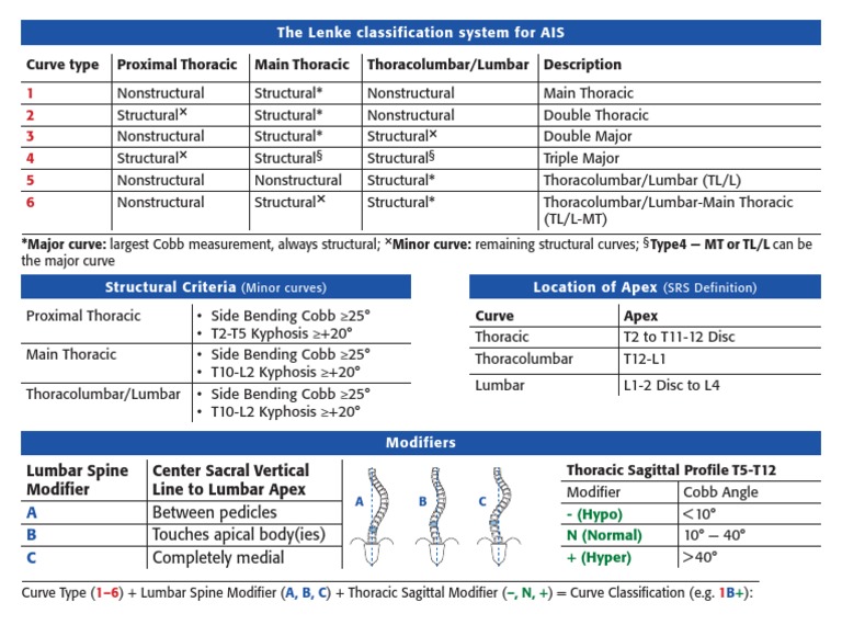 Scoliosis Curve Classification Guide | PDF | Vertebral Column | Thorax ...