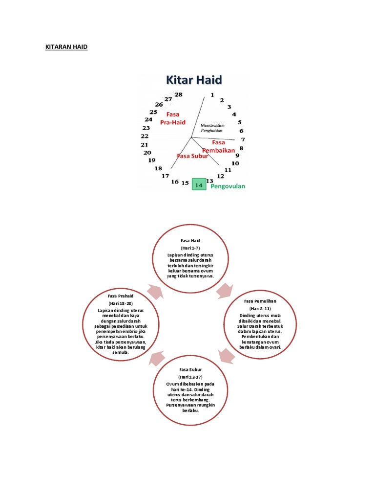 Kitaran Haid | PDF