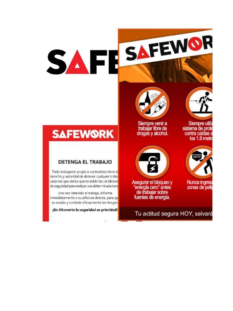 Programa Safework | PDF | Seguridad | Informática y tecnología de la ...