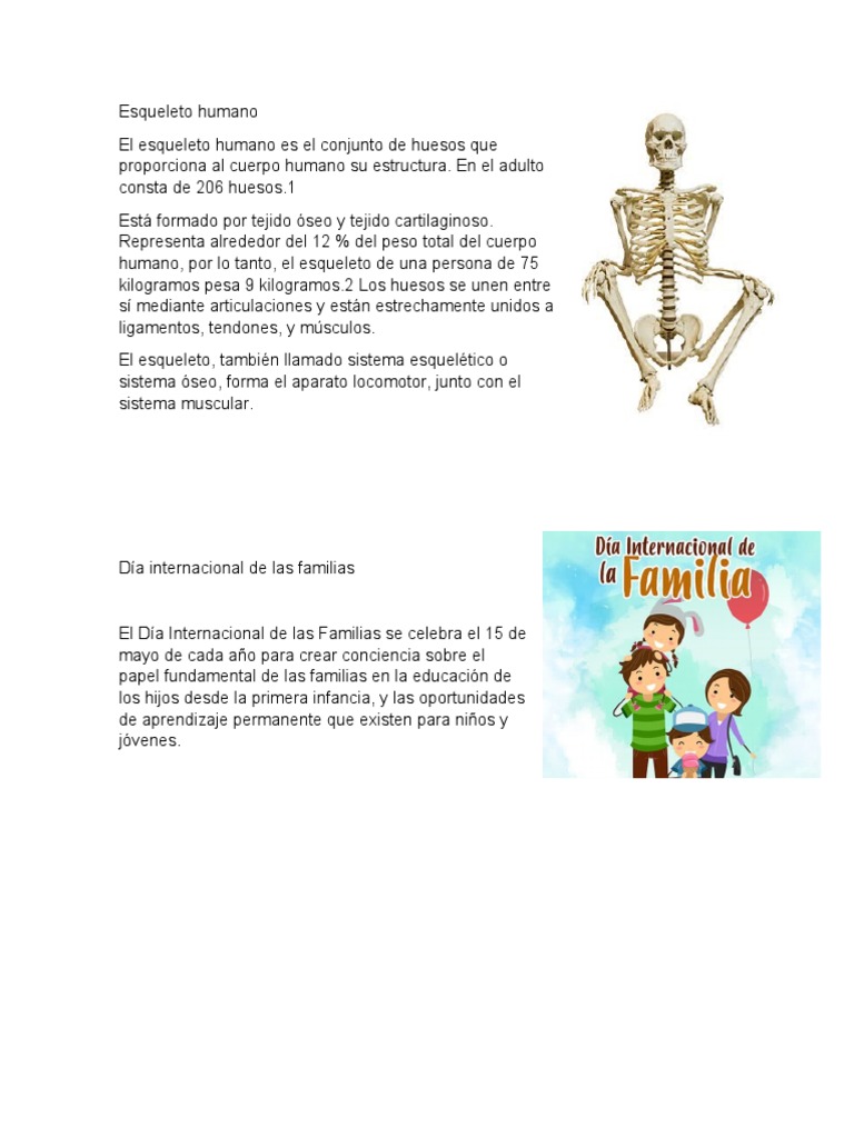 Esqueleto Humano | PDF