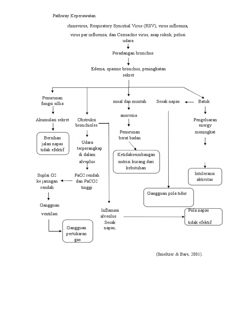 Pathway Keperawatan | PDF