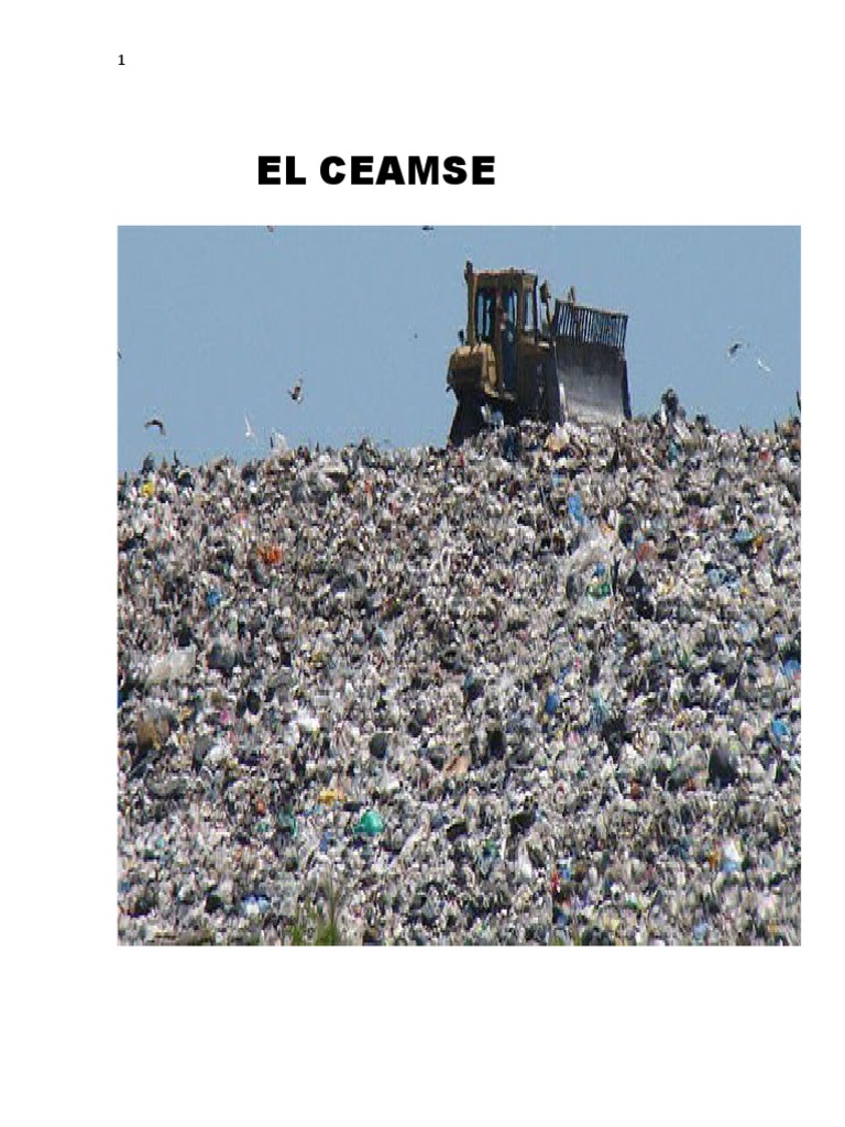 El Ceamse | PDF | La contaminación del aire | Residuos