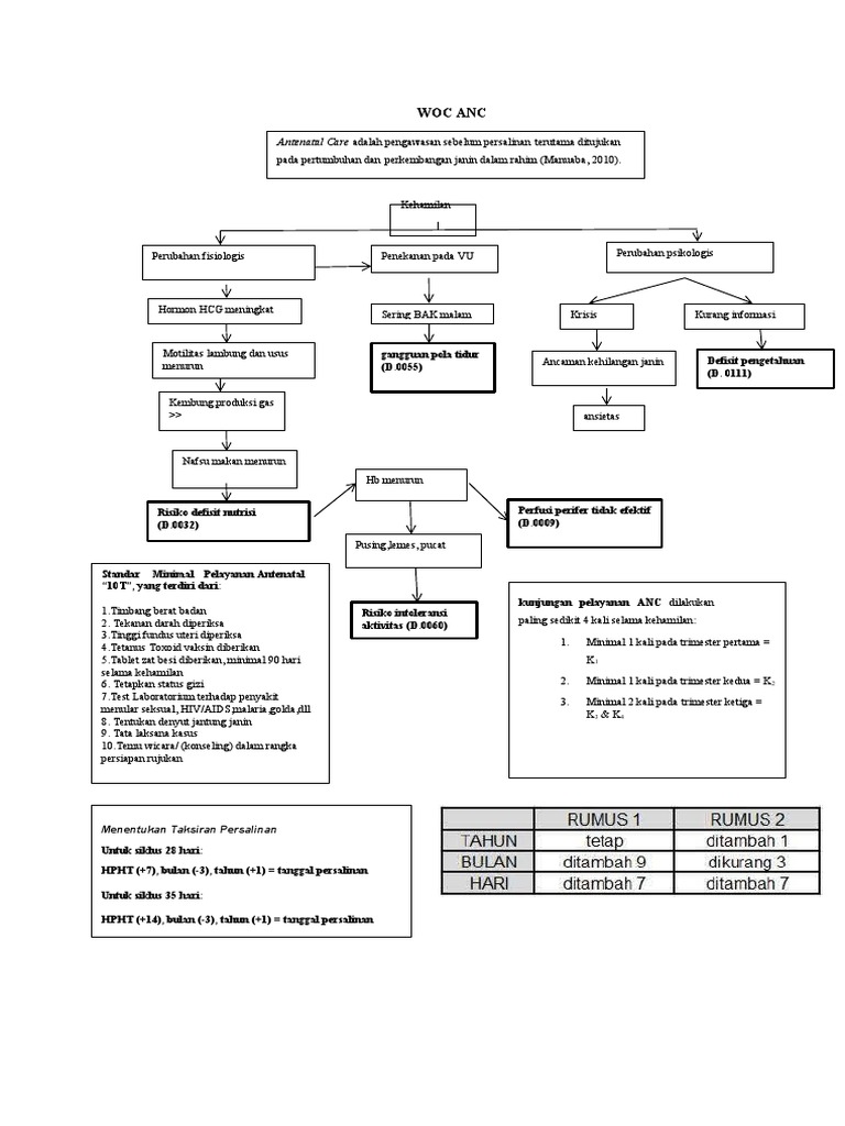LP Woc Anc - Faulin | PDF