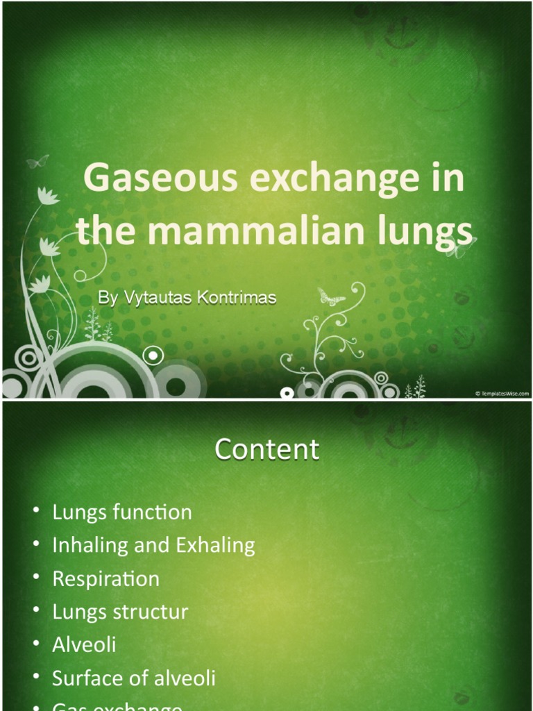 Gaseous Exchange in The Mammalian Lungs: by Vytautas Kontrimas | PDF ...