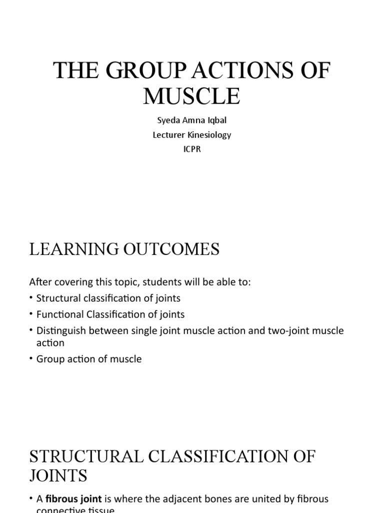 The Group Actions of Muscle | PDF | Skeletal System | Tissue (Biology)