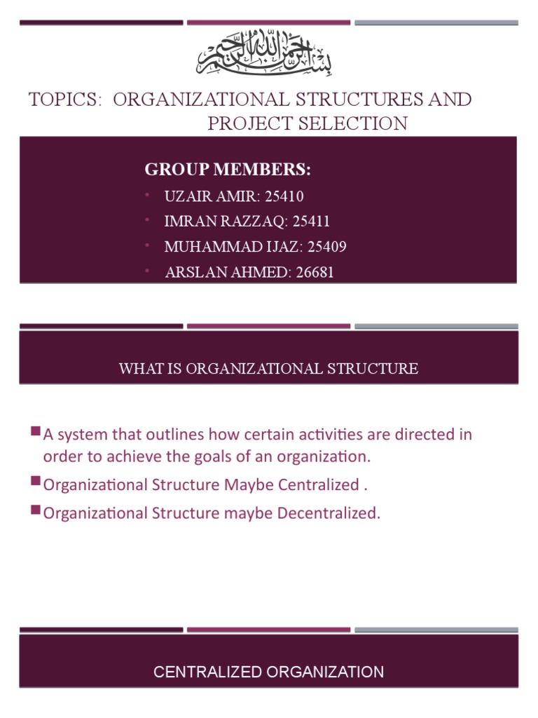 Topics: Organizational Structures and Project Selection: Group Members ...