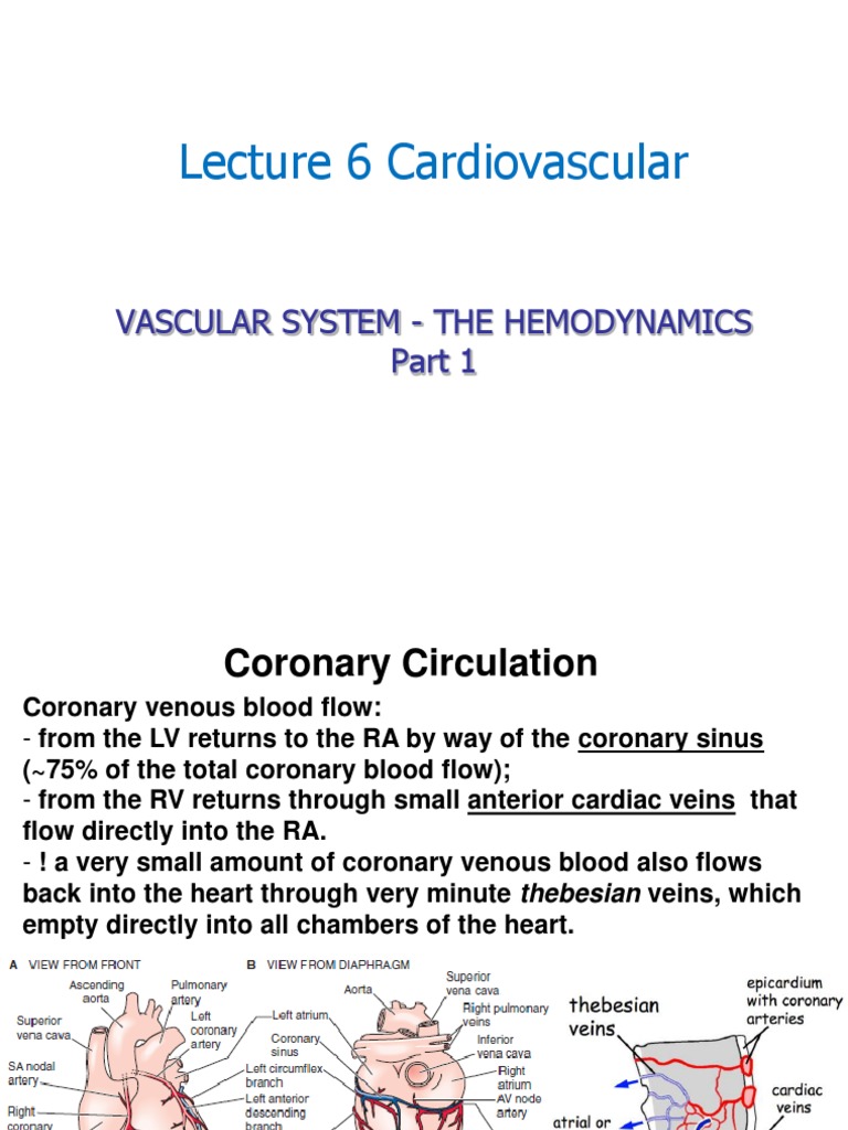 Lecture 6 Cardiovascular: Vascular System - The Hemodynamics | PDF | Capillary | Lymph