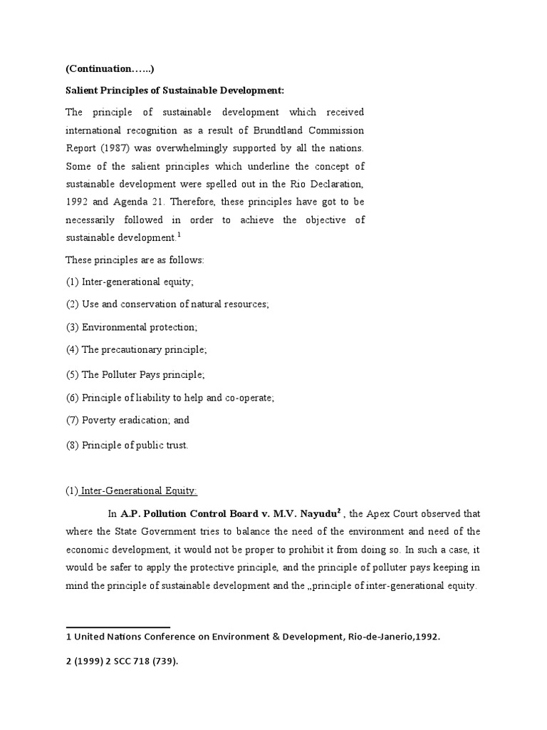 Principles of Sustainable Development: An In-Depth Look at Key Concepts ...