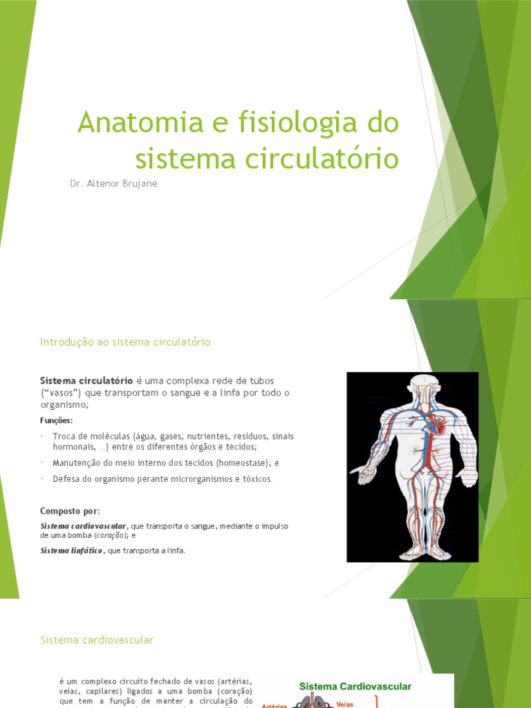Anatomia e Fisiologia Do Sistema Circulatório (Guardado Automaticamente ...