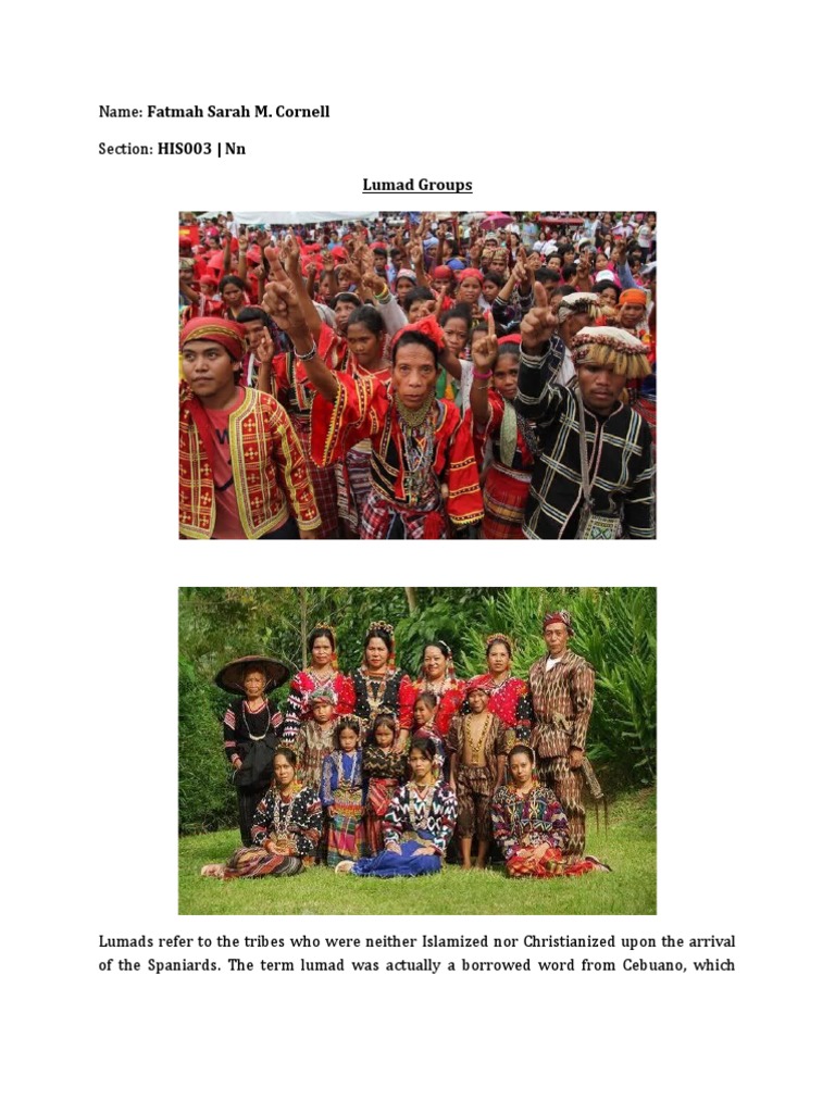 Lumad Groups | PDF | Ethnicity | Ethnic Groups