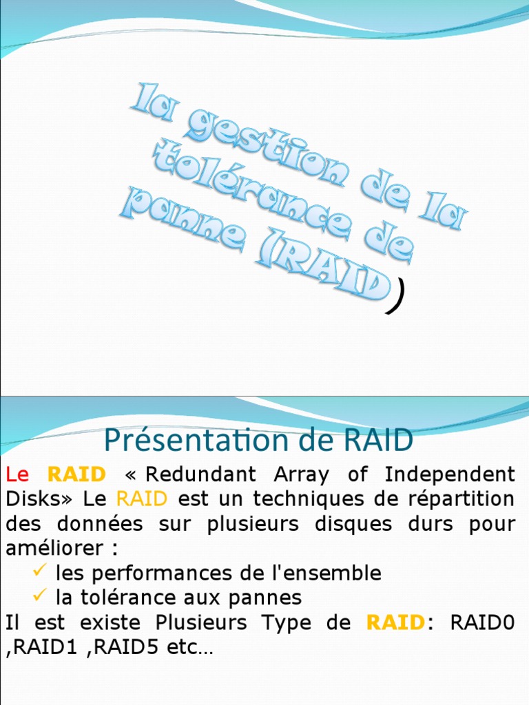 Raid Pdf