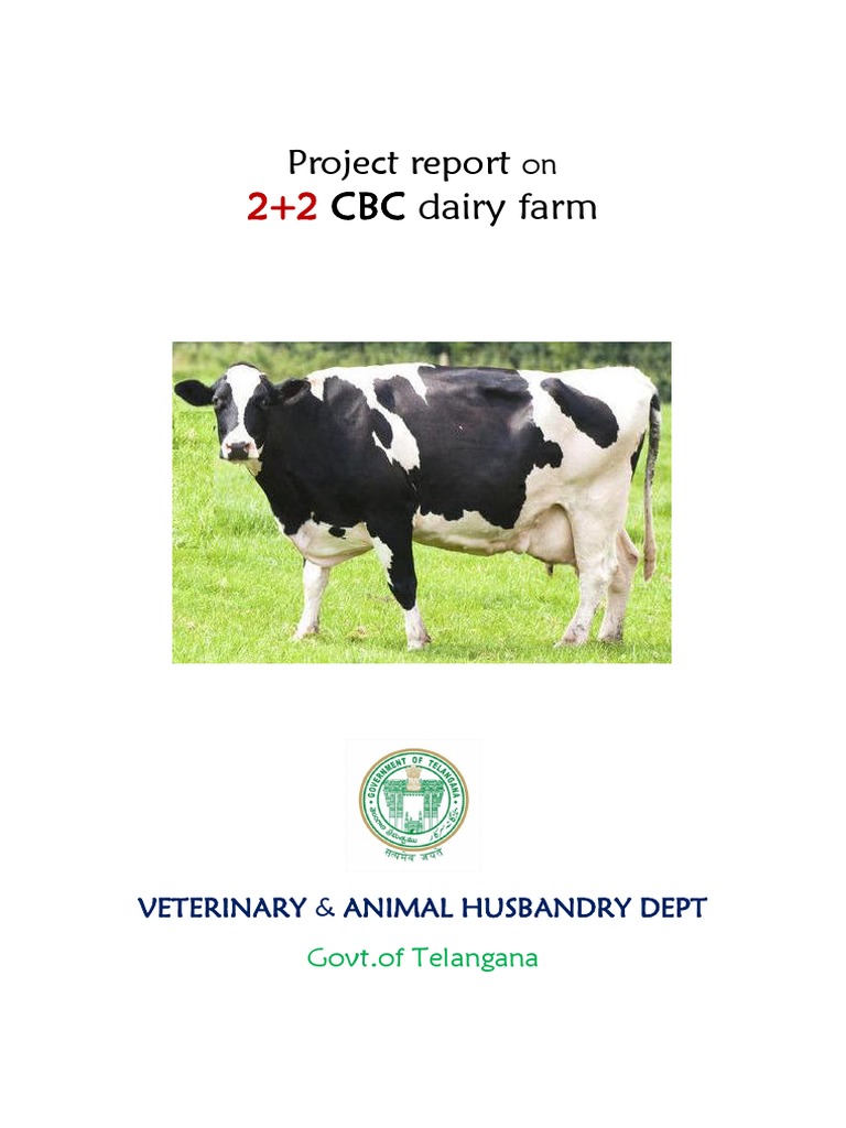 CBC Dairy Farm: Project Report | PDF | Dairy Farming | Dairy Cattle
