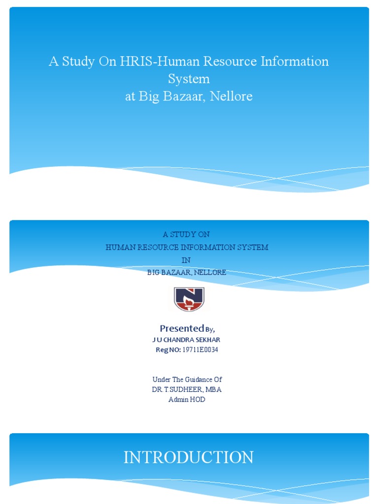 A Study On HRIS-Human Resource Information System at Big Bazaar ...