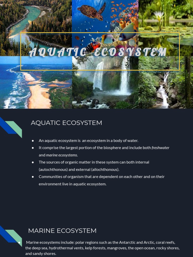 Overview of Aquatic Ecosystems | PDF | Lake | Oceans