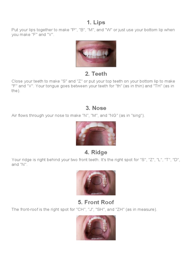 Lip Reading Basics for Beginners | PDF