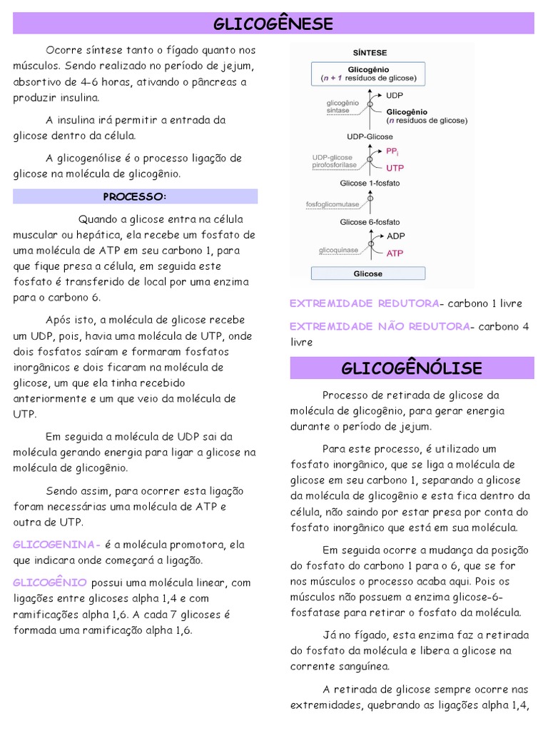 GLICOGÊNESE | PDF | Glicogênio | Bioquímica