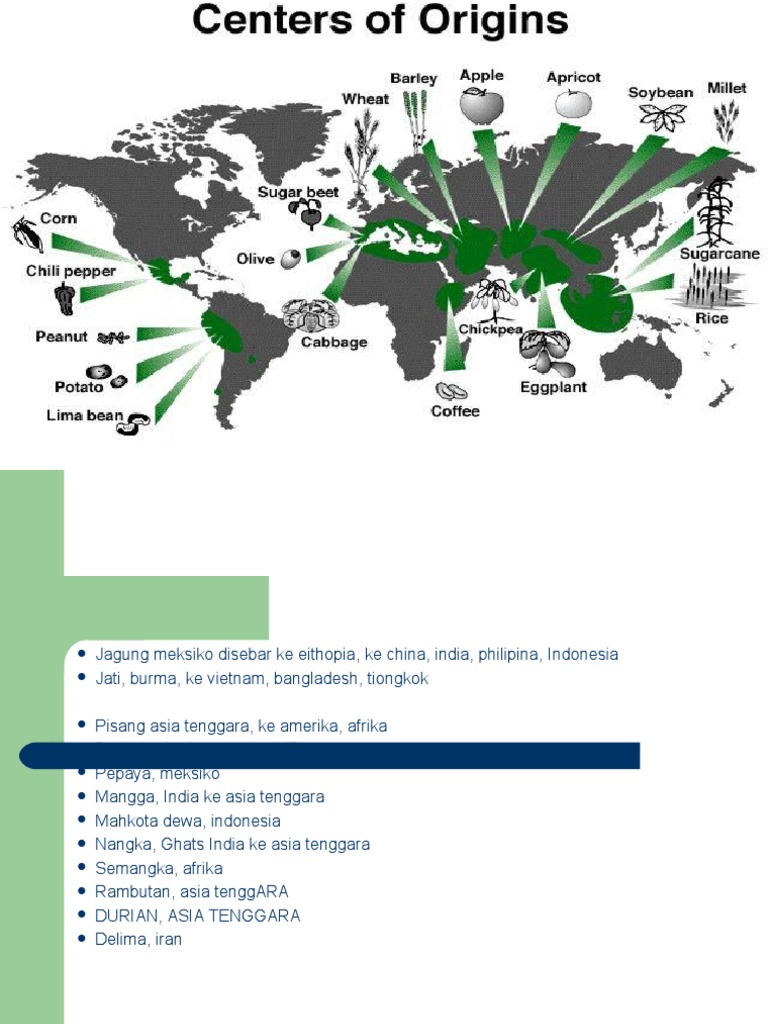 Origin of Agriculture | PDF | Agriculture | Ecosystem