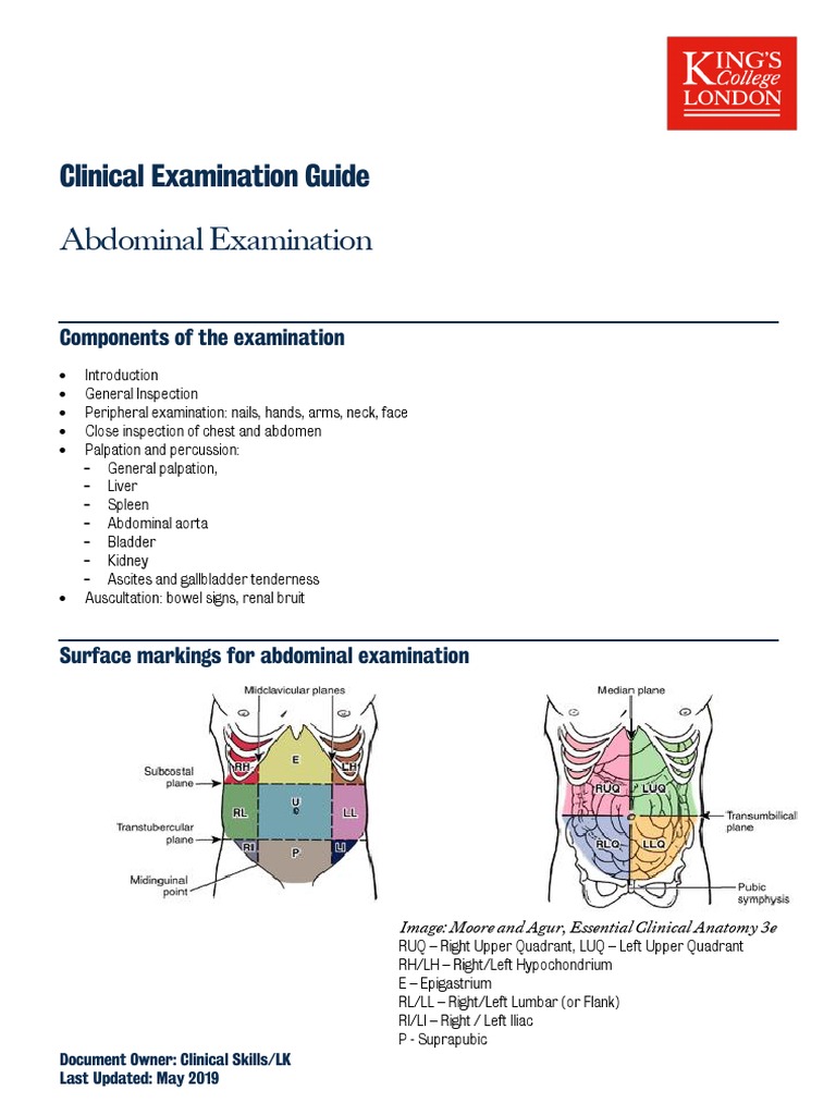 Abdominal Examination Guide | PDF | Abdomen | Medicine