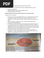 Chloride Shift: Mechanism and Function | PDF