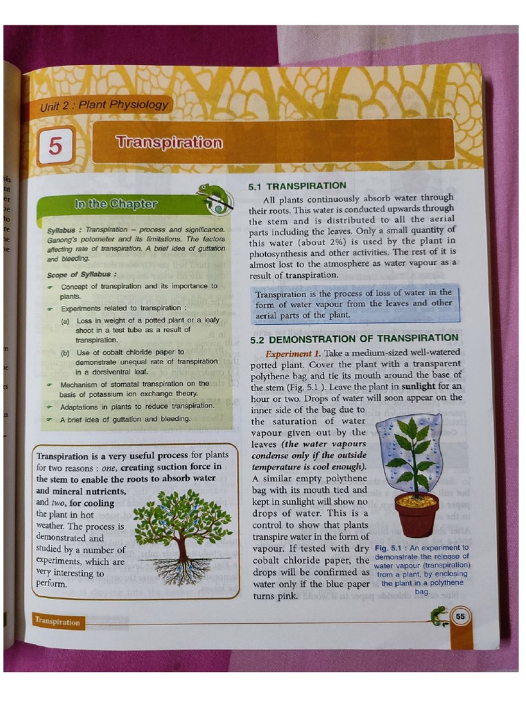Biology Transpiration | PDF