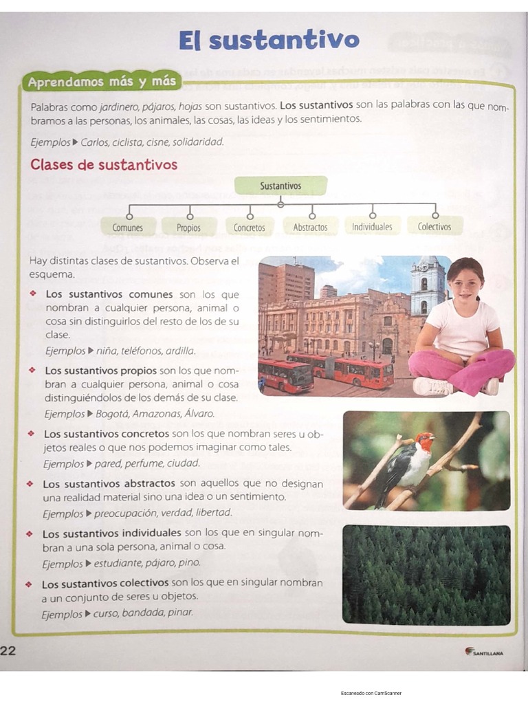El Sustantivo. | PDF