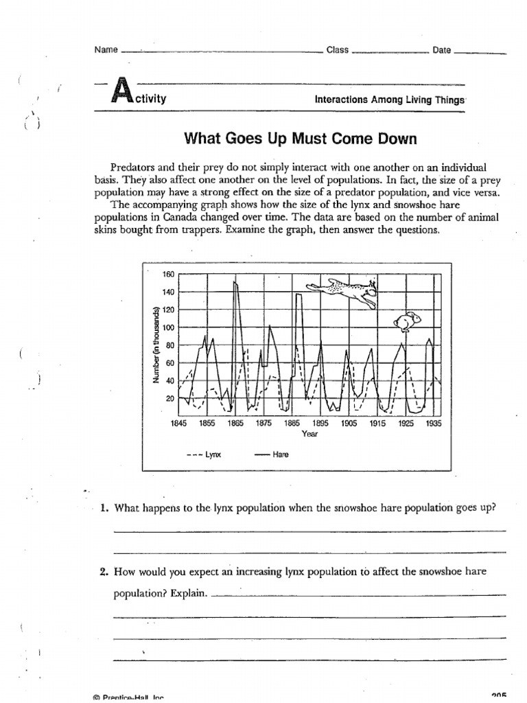 What Goes Up Must Come Down | PDF