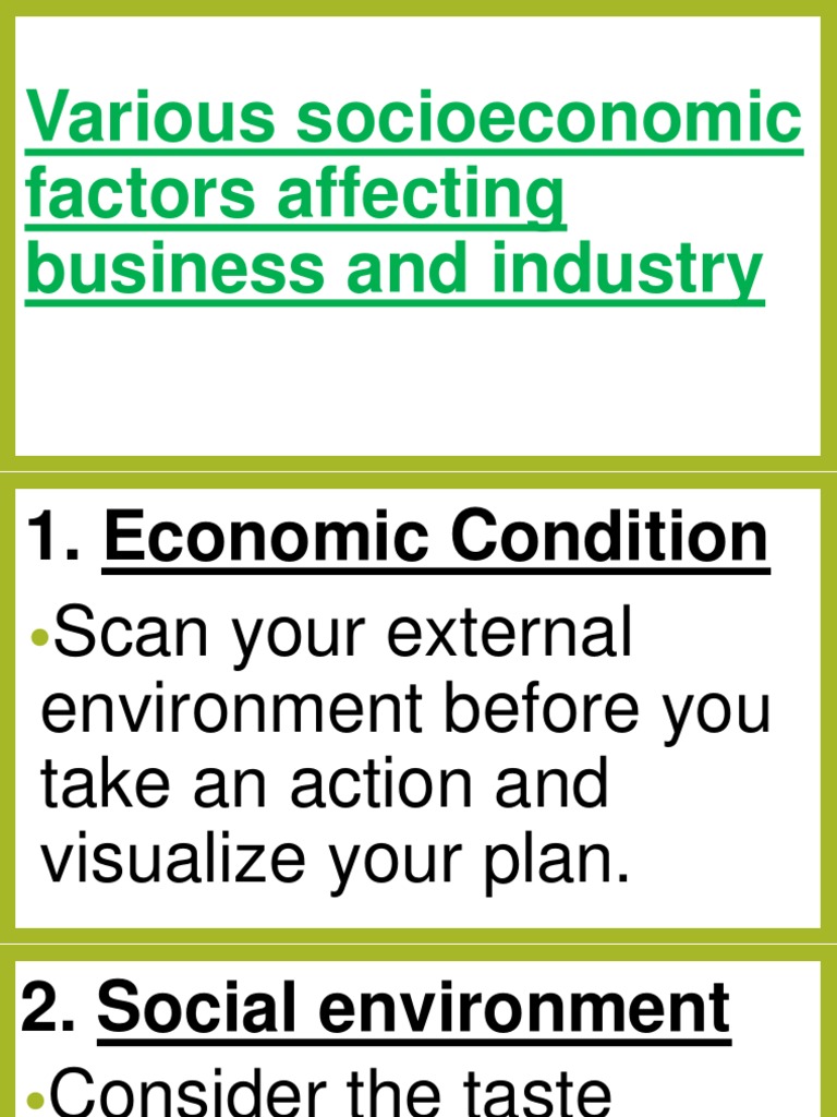 Identify and Explain Various Socioeconomic Factors Affecting Business and Industry | PDF